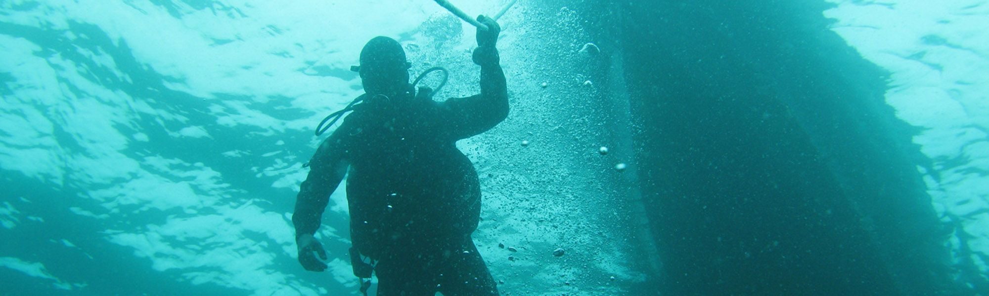 Le parc naturel marin d'Iroise - Douarnenez.bzh, site officiel de la ...