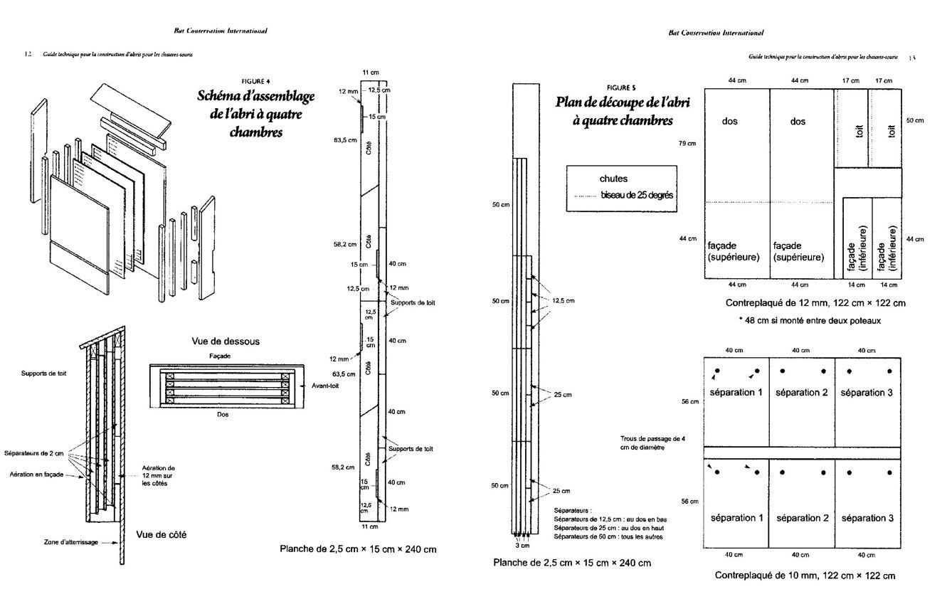 Conseil de saison : construire un abri pour chauves-souris - Douarnenez.bzh, site officiel de la ...